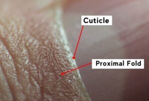 How to Correctly DIY Push Back Your Cuticles With No Pain - Easy Nail Tech